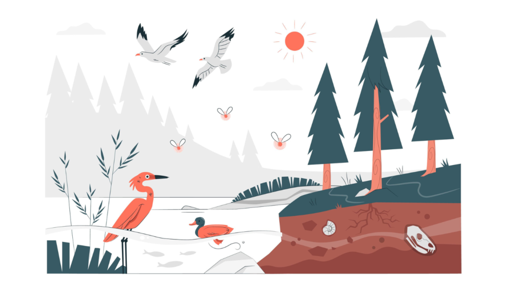 Trees - an essential part of cities - Lesson Plan - ESL Brains