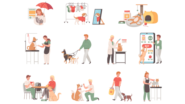 Animals Lesson Plans - ESL Brains