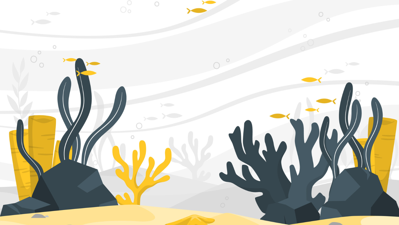 Coral Reefs 18 Lessons Books Videos Games More To
